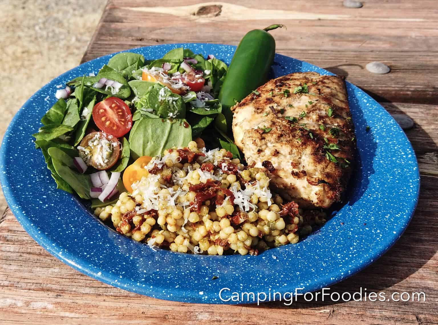 37+ Easy Camping Grill Recipes Using Propane, Charcoal Or Campfire Flames!